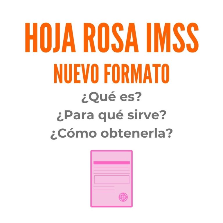 Número de la Seguridad Social → NSS | Guía 2022