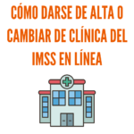 ¿Cómo darse de alta en el IMSS? | Guía 2022