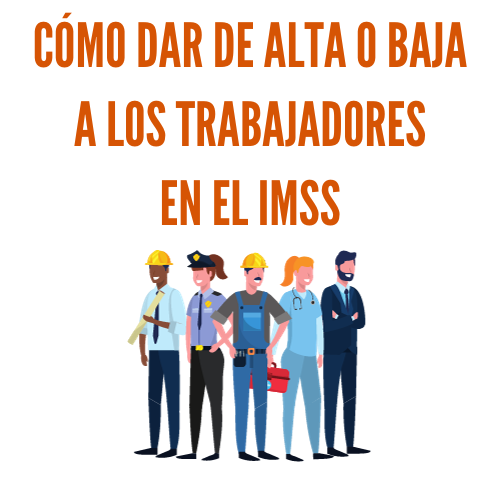 ¿Cómo dar de alta o baja a los trabajadores en el IMSS?
