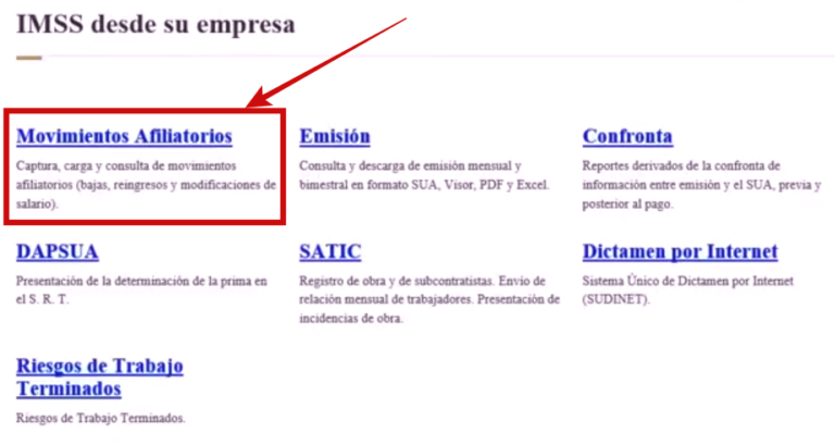 Constancia Presentación Movimientos Afiliatorios IMSS en PDF